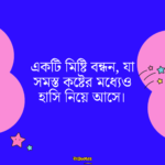 ভাই বোনের সম্পর্কের উক্তি, Bangla Quotes for Brothers and Sisters