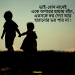 ভাই বোনের সম্পর্কের উক্তি, Bangla Quotes for Brothers and Sisters