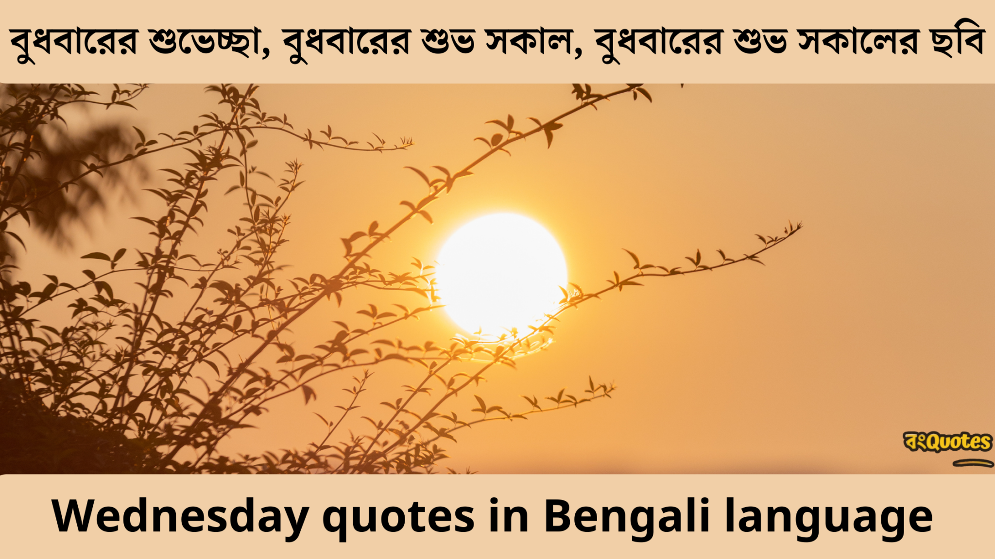 175+ শুভ বুধবারের শুভেচ্ছা, Happy Wednesday wishes in Bangla