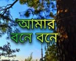 আমার বনে বনে গানের কথা । Aamar Bone Bone Song Lyrics - By Rabindranath ...