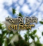 আমি চিনি গো চিনি গানের কথা । Ami Chini Go Chini Song Lyrics - By ...