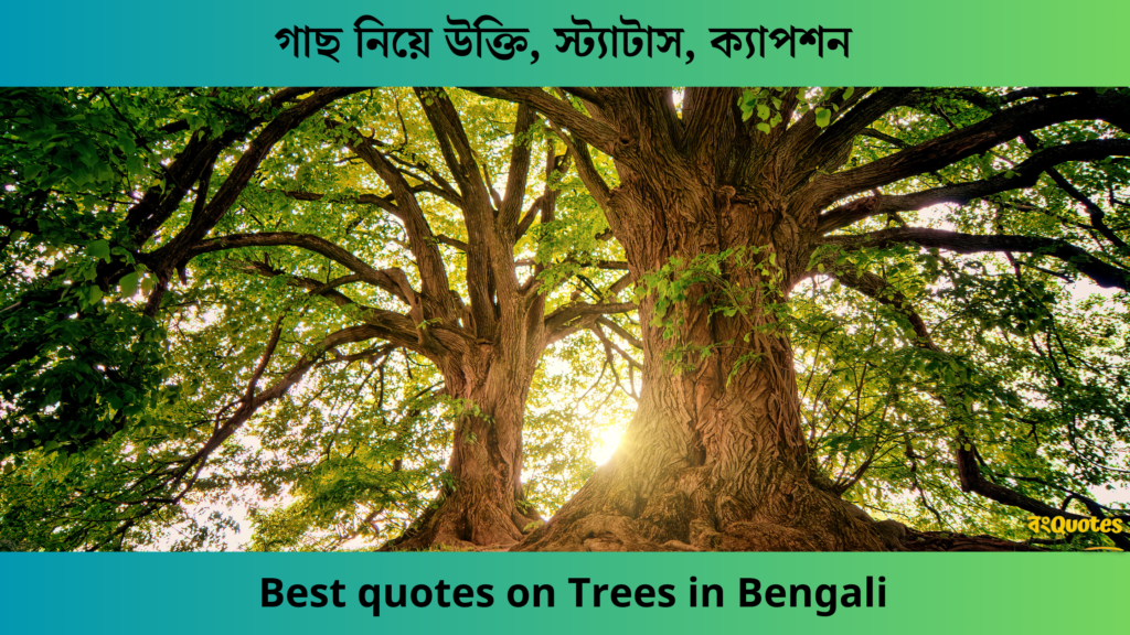 155+গাছ নিয়ে উক্তি, ক্যাপশন, Best quotes on Trees in Bengali