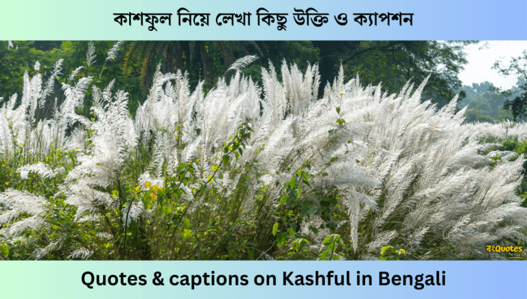 কাশফুল নিয়ে ক্যাপশন, উক্তি ~ Quotes, Lines on Kashful in Bangla ...